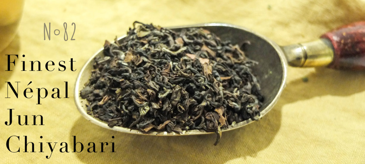 A LA DECOUVERTE DU JARDIN JUN CHIYABARI - Collection T - Le journal